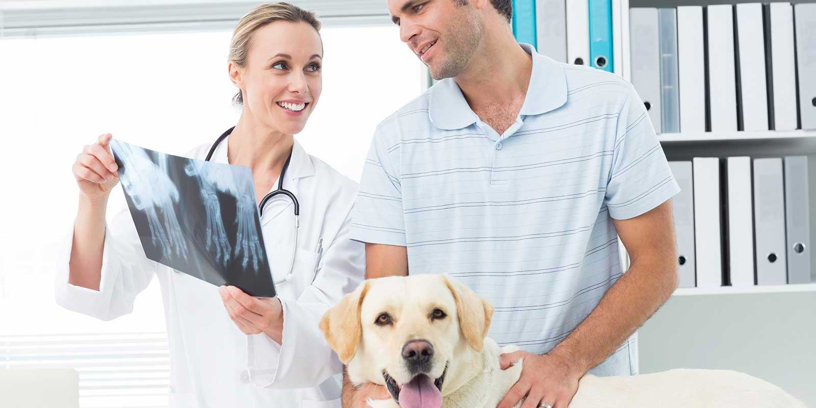 Synergy - Case Management Software - Orases